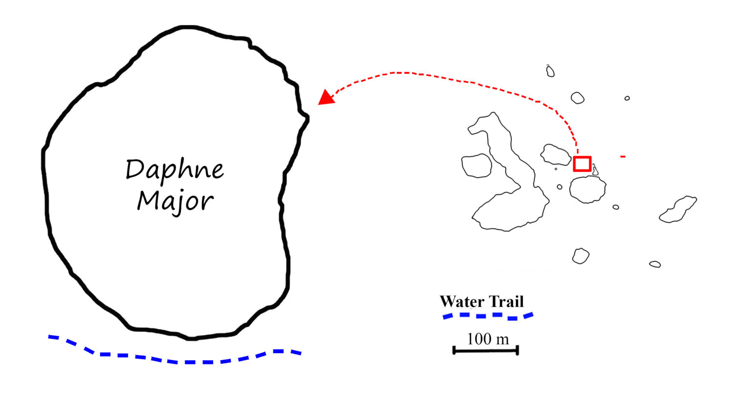 Explore Daphne Major Islet - GALAPEX